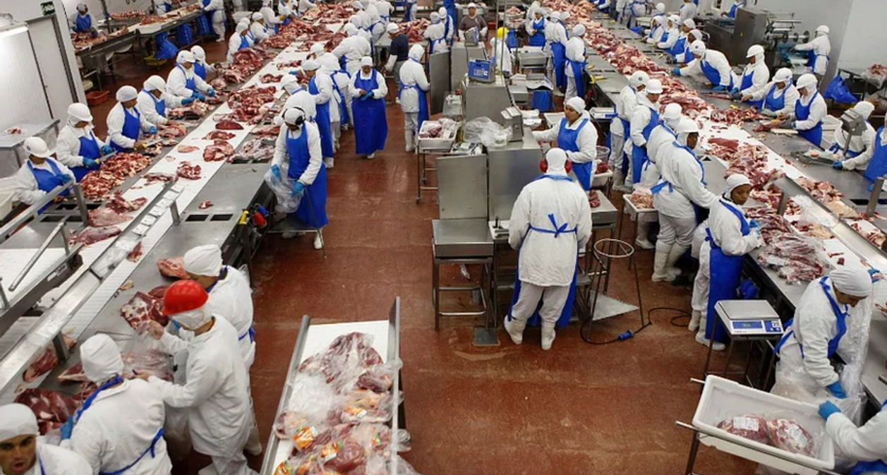 About - Brazil Poultry Exporters